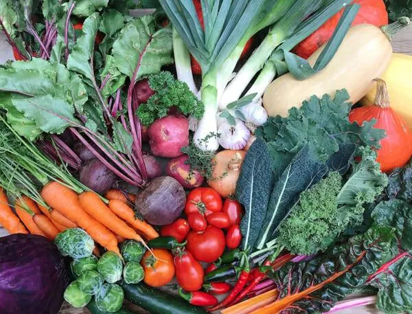 Enjoying Local Seasonal Food - 7 Reasons Why it Matters